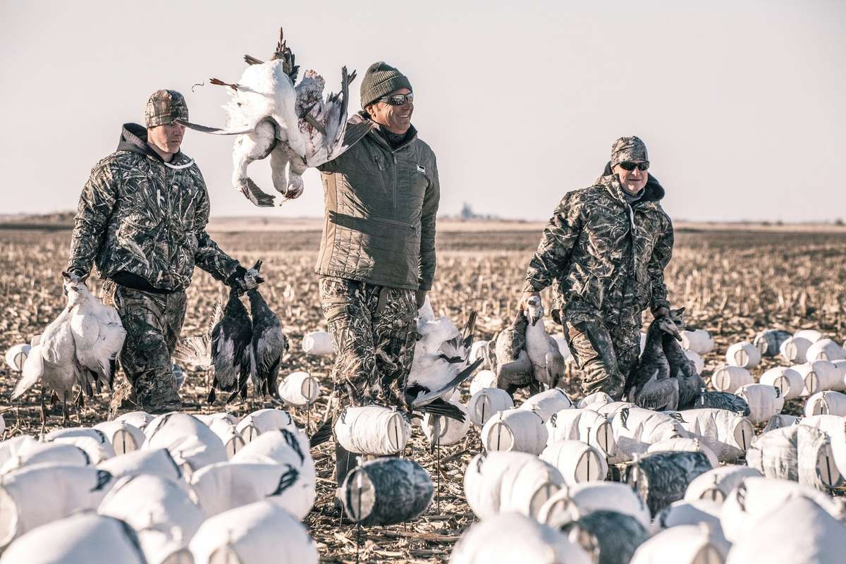 Spring 2026 Snow Goose Hunting Forecast - Realtree Camo