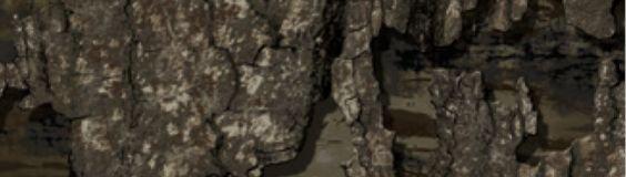 Realtree® Camo Patterns