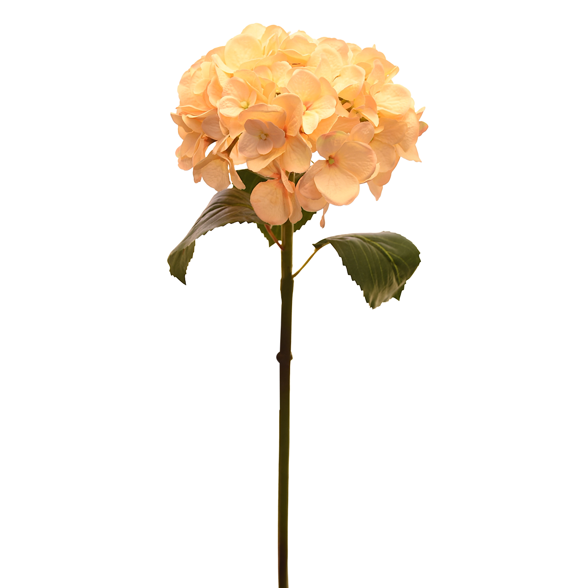 Peach Hydrangea Single-Stem Flower 52 cm in Kuwait | Buy Online ...