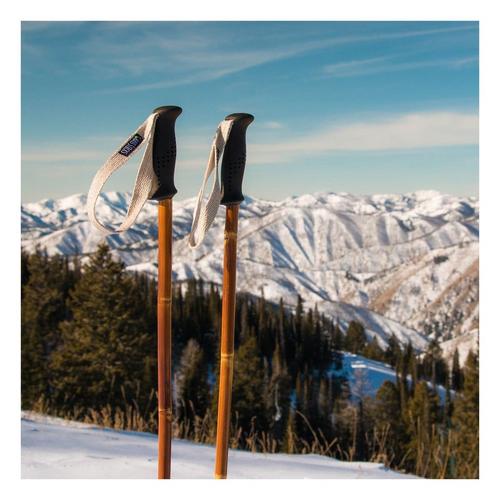 Grass Sticks Original Ski Poles