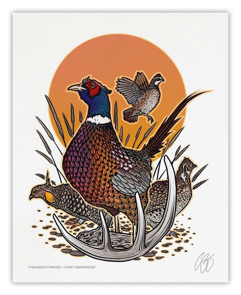 Pheasants Forever Upland Game Bird Prints - Case of 20
