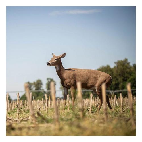 Dave Smith Decoys Standing Doe Decoy