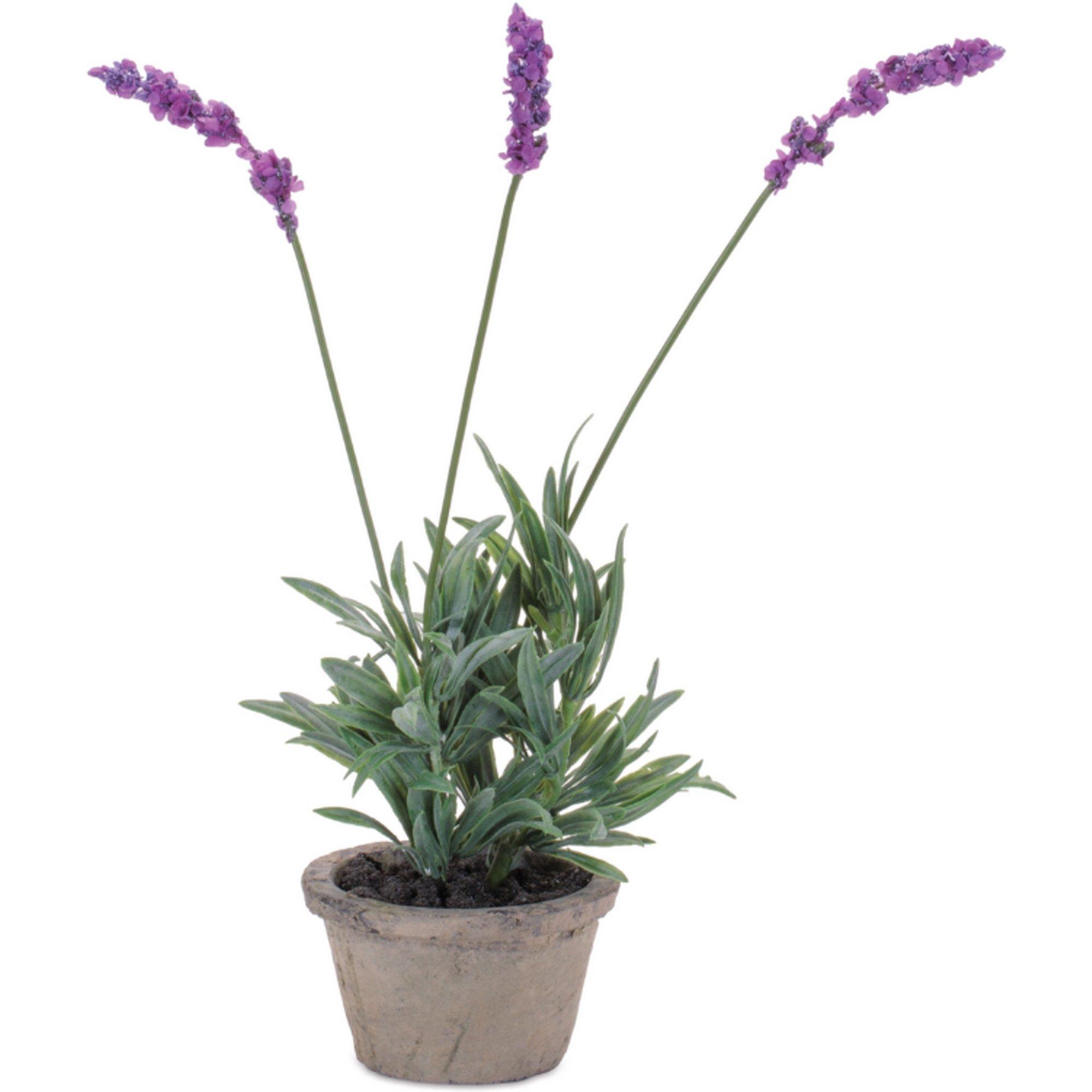 Melrose International Potted Lavender 14.5"H