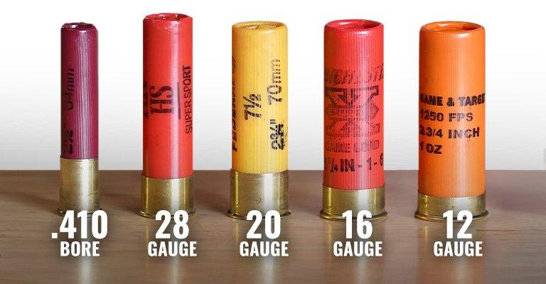 Understanding Shotgun Shells