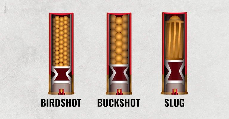 Understanding Shotgun Shells