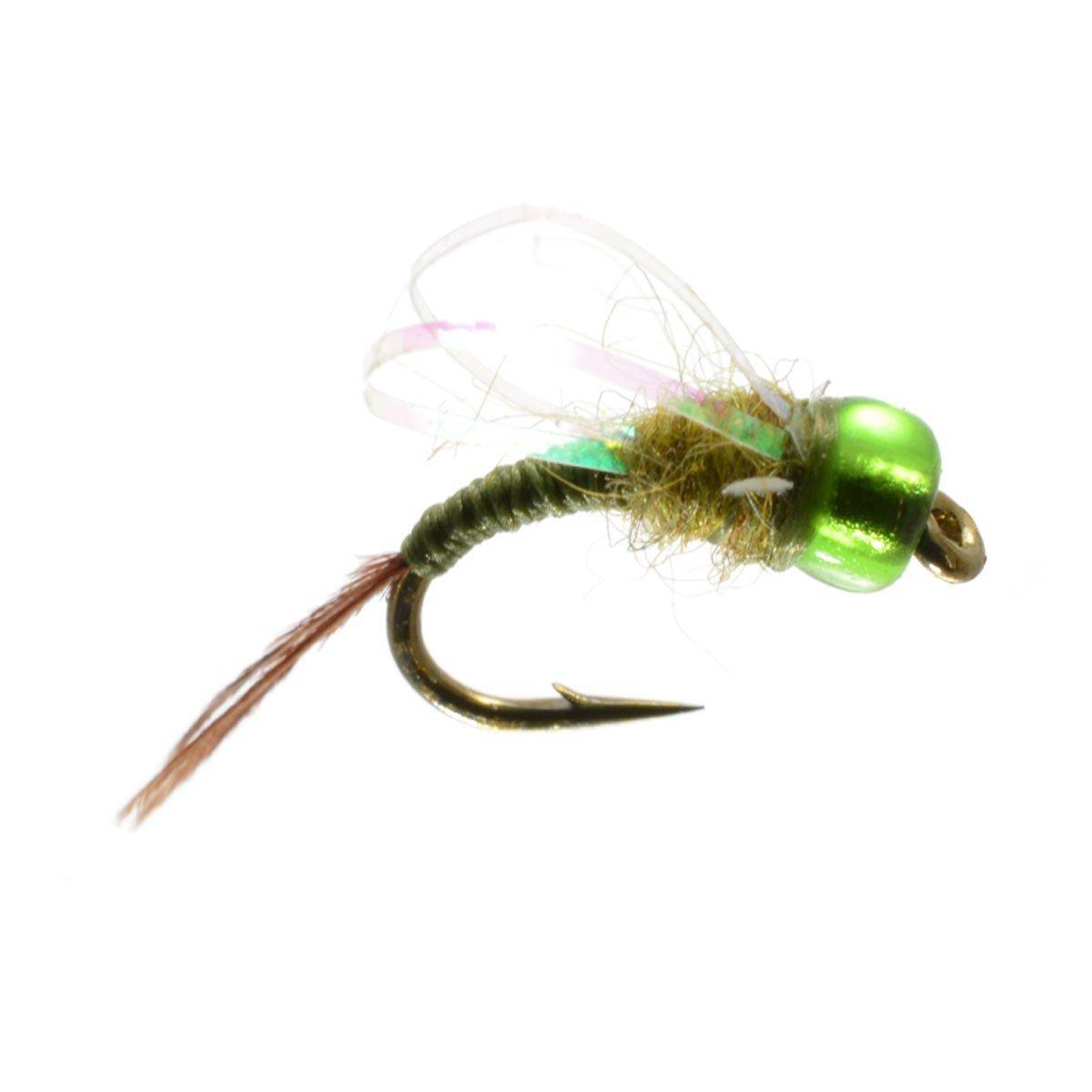 Hindmarsh's Olive Loop-Wing Mayfly Emerger
