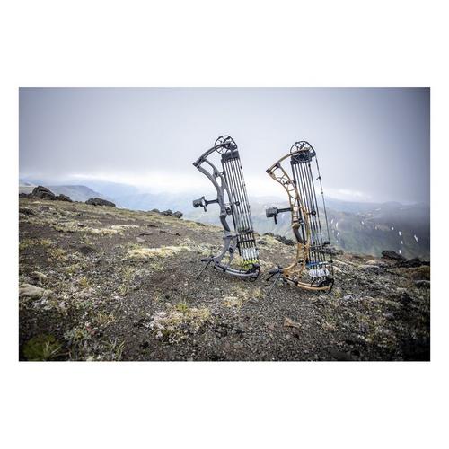 Hoyt Carbon RX-9 Ultra Compound Bow