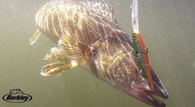 How to Use Planer Boards