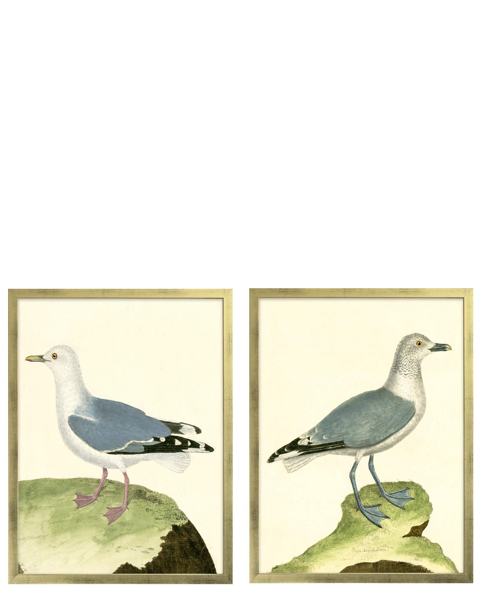 "Footed Gull Birds" in Gold Frame by Whalebone Creek--image