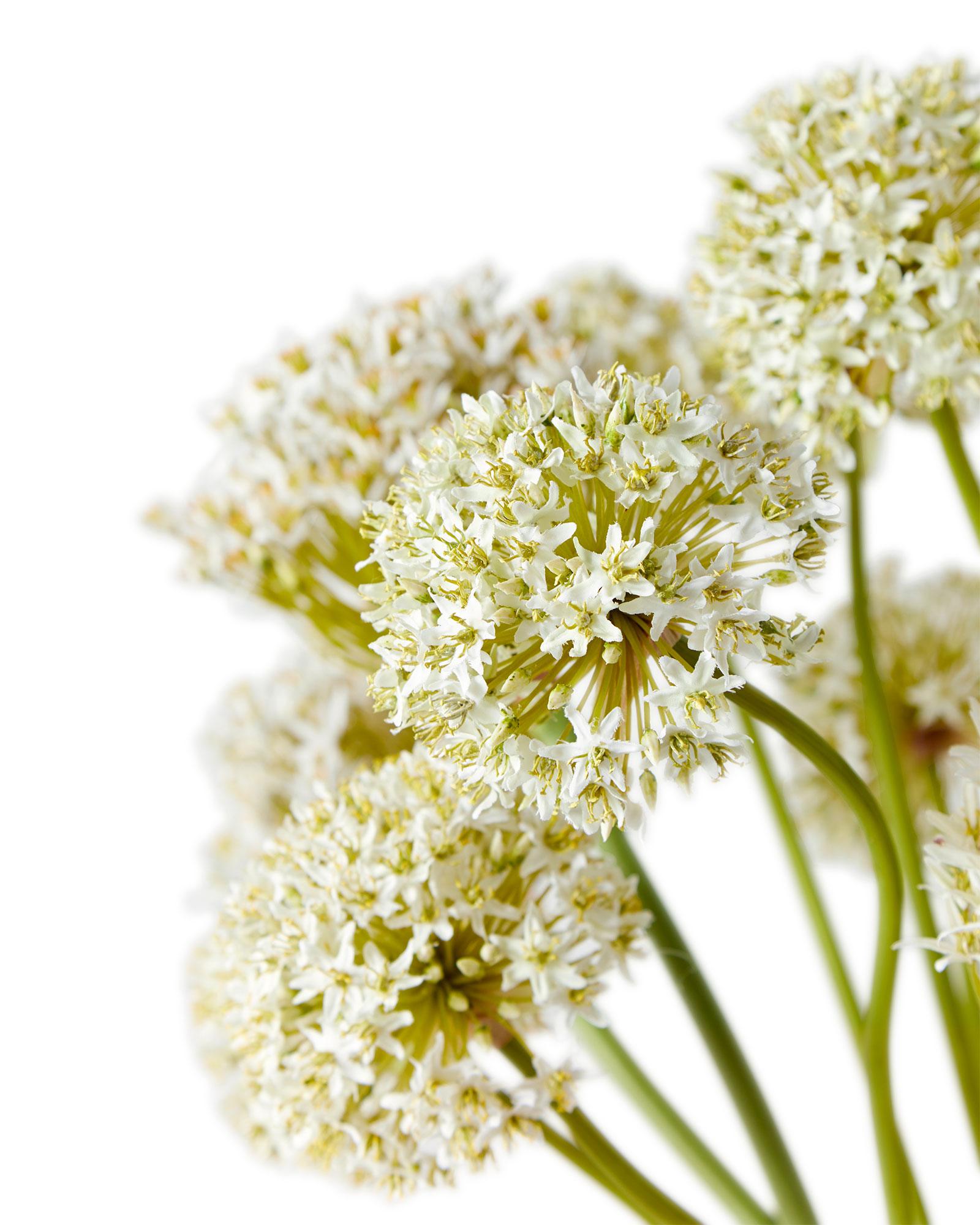 1112603-Decor-Faux-Florals-White-Alliums-Bouquet-Cayman-Vessel-Extra ...
