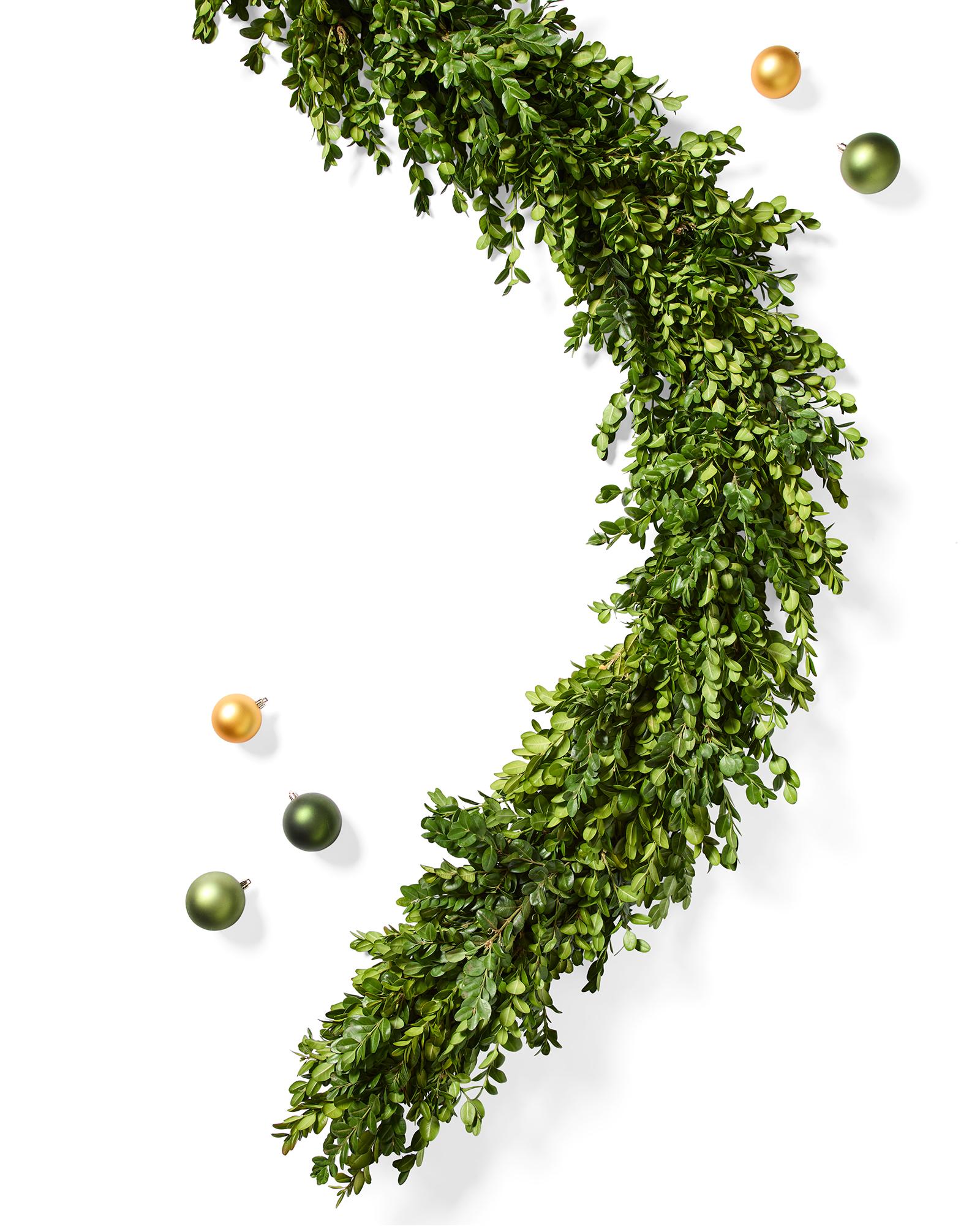Fresh Boxwood Garland