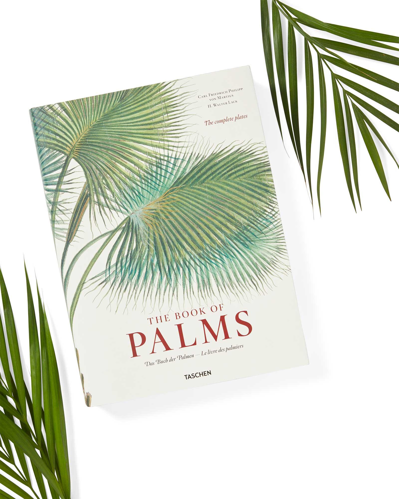 309766-Book-Of-Palms-Lack-1050-SH