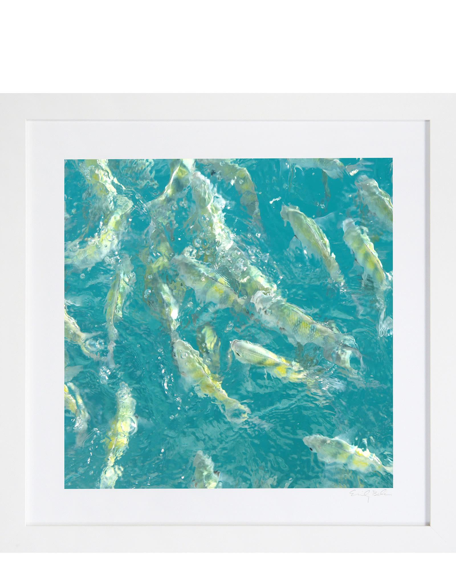 "Fish" by Emily Baker