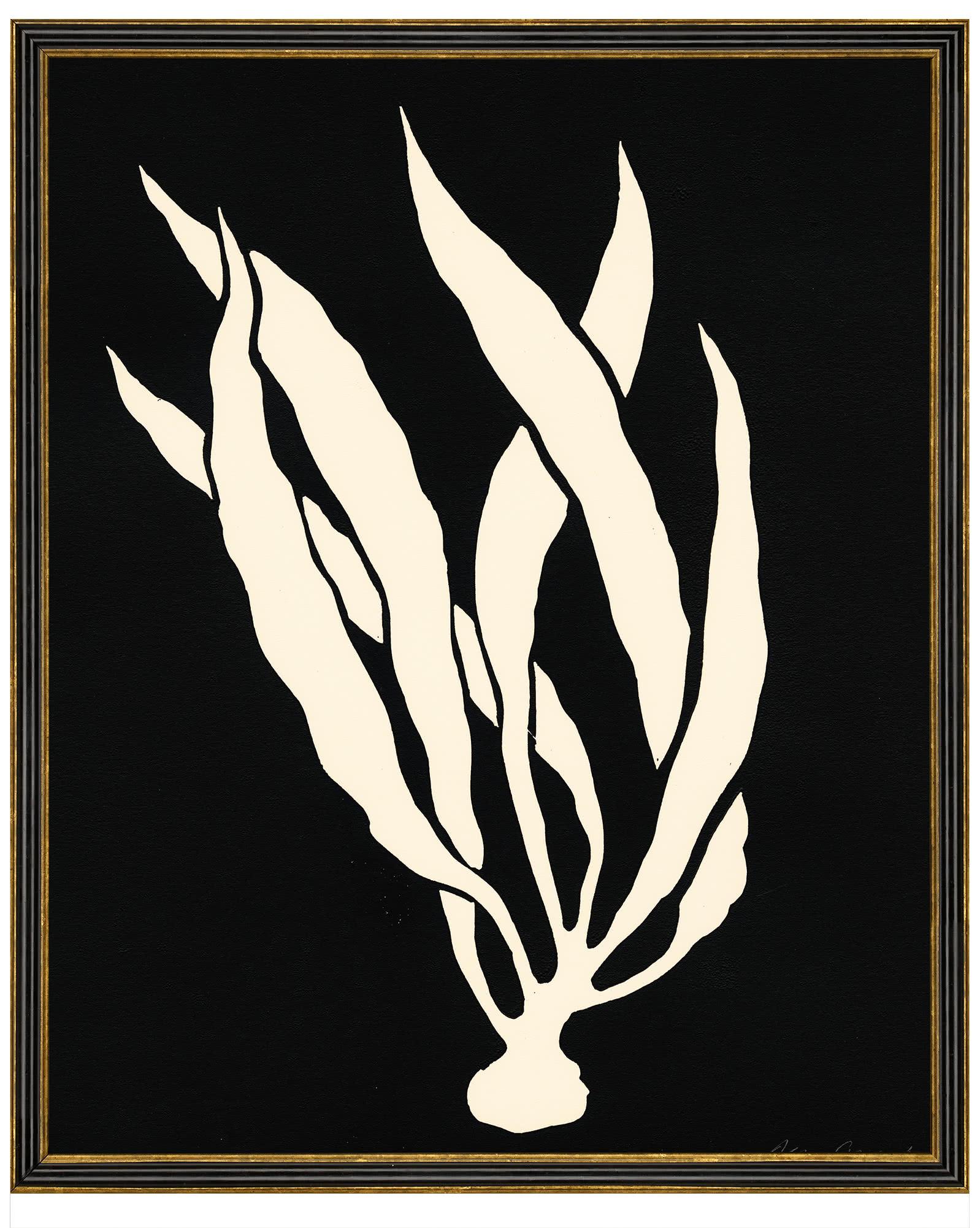 Underwater Plantlife 11 by Jennifer Ament