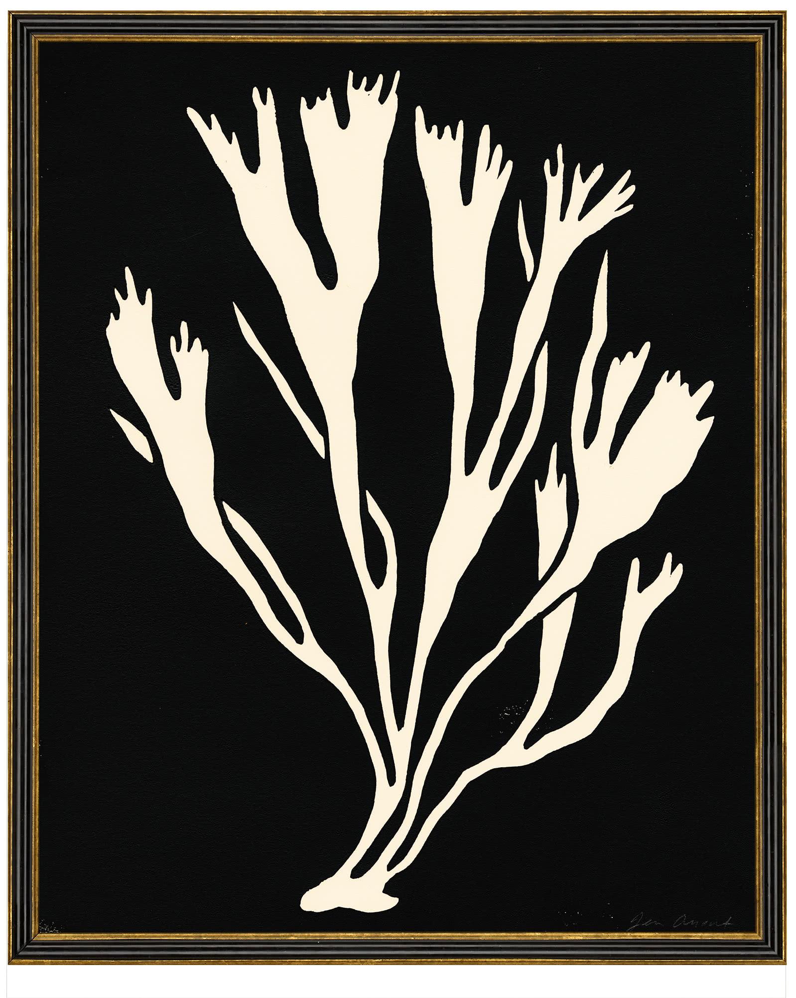 Underwater Plantlife 12 by Jennifer Ament