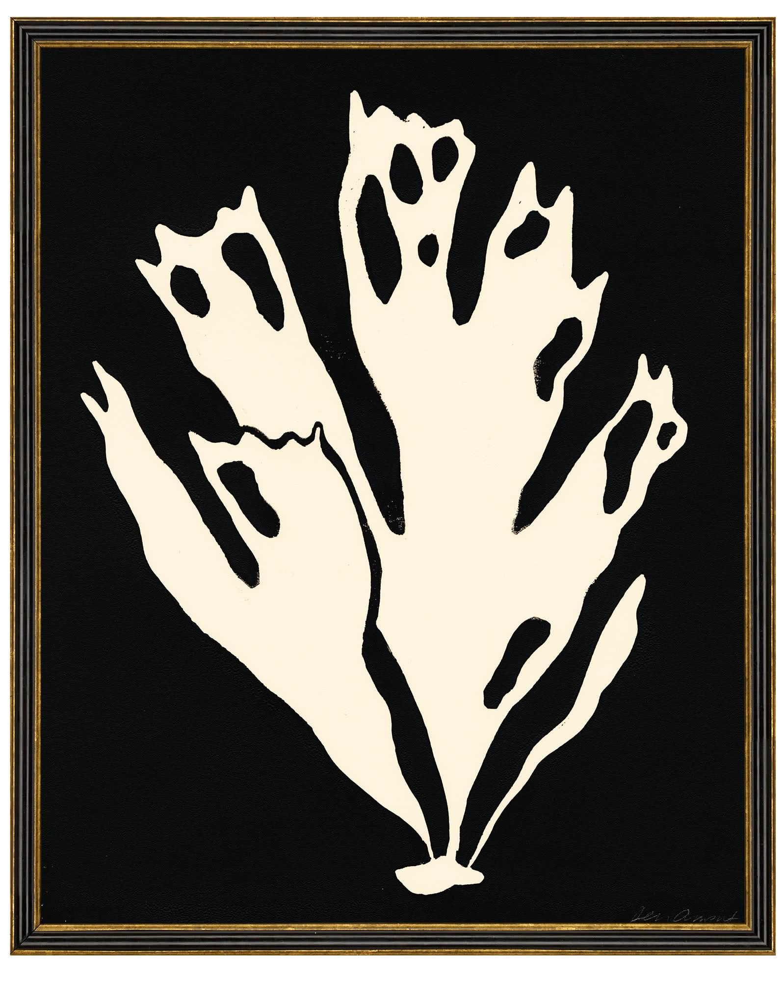 Underwater Plantlife 14 by Jennifer Ament