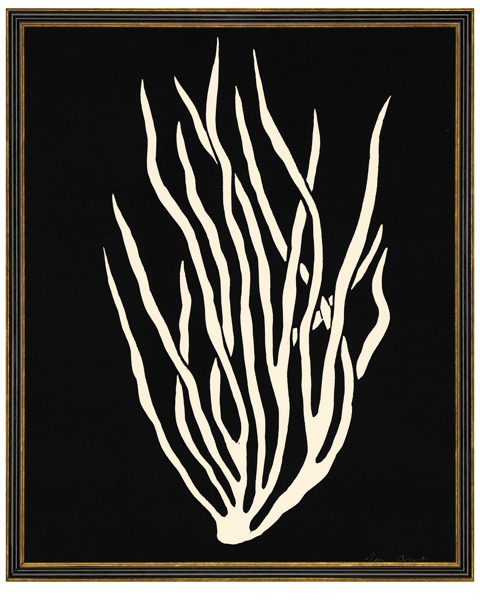 Underwater Plantlife 15 by Jennifer Ament