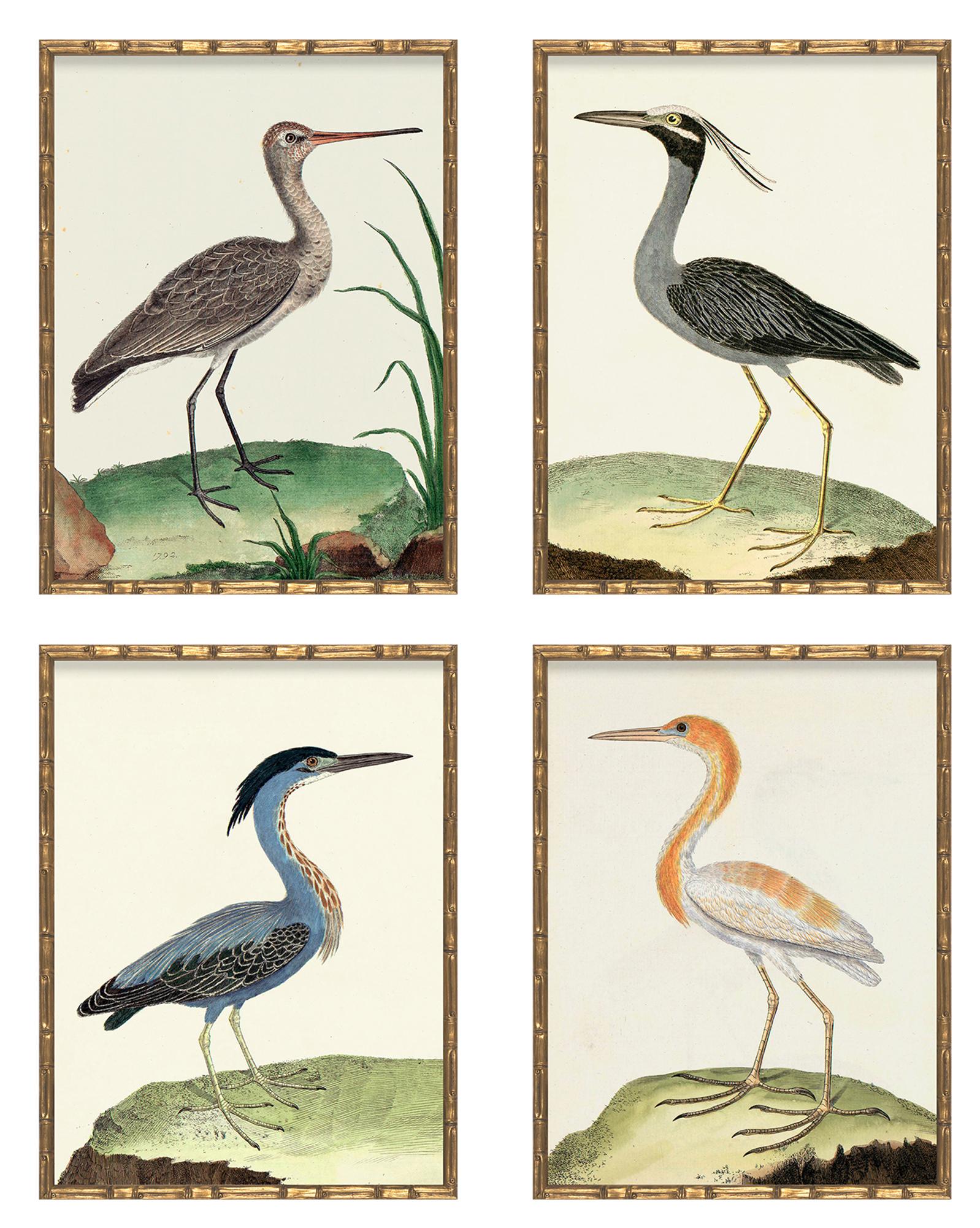 "Vintage Birds" in Bamboo Frame - Set of Four II (Birds II, VI, VII ...