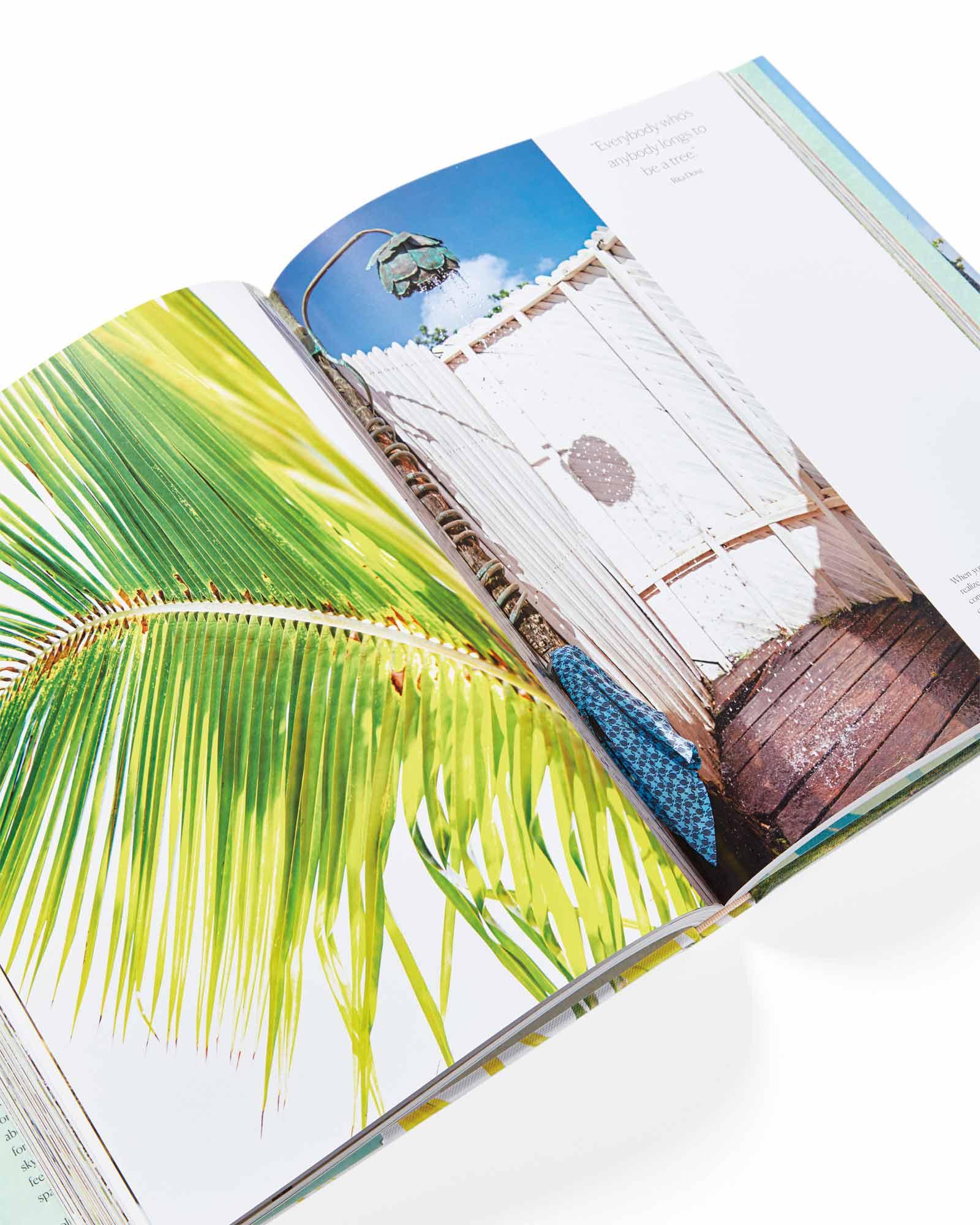 Dec_Acc_Island_Whimsy_Book_Detail_TS_1226_Crop_SH