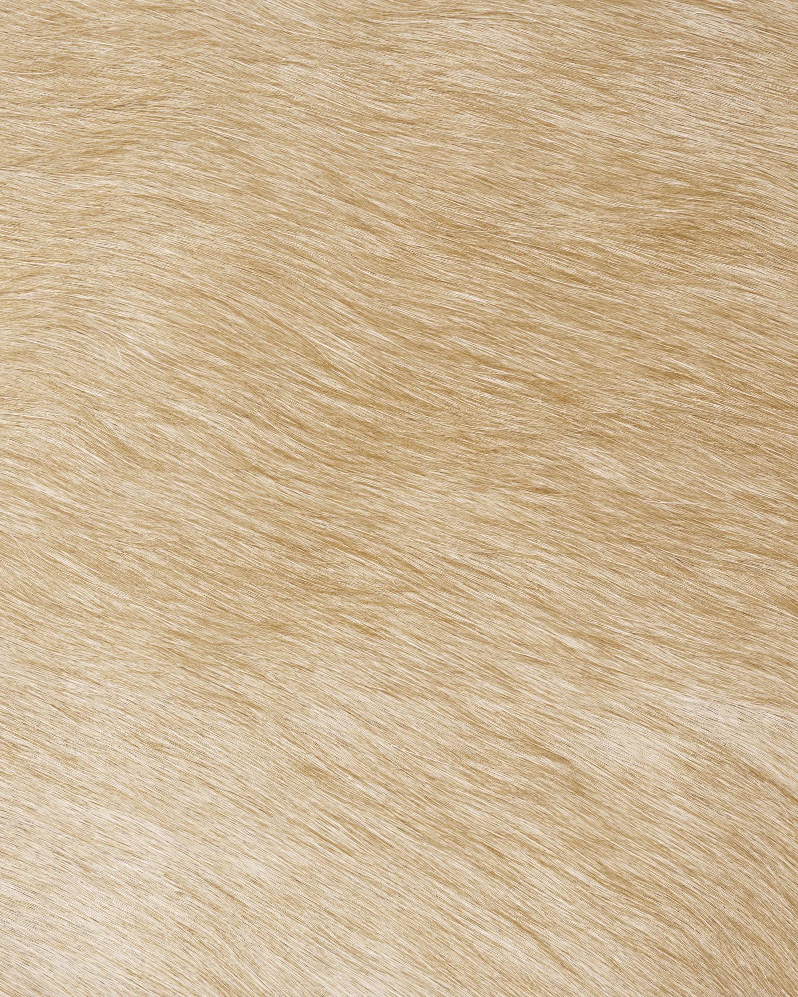 Hair on Hide Fabric Swatch - Beige