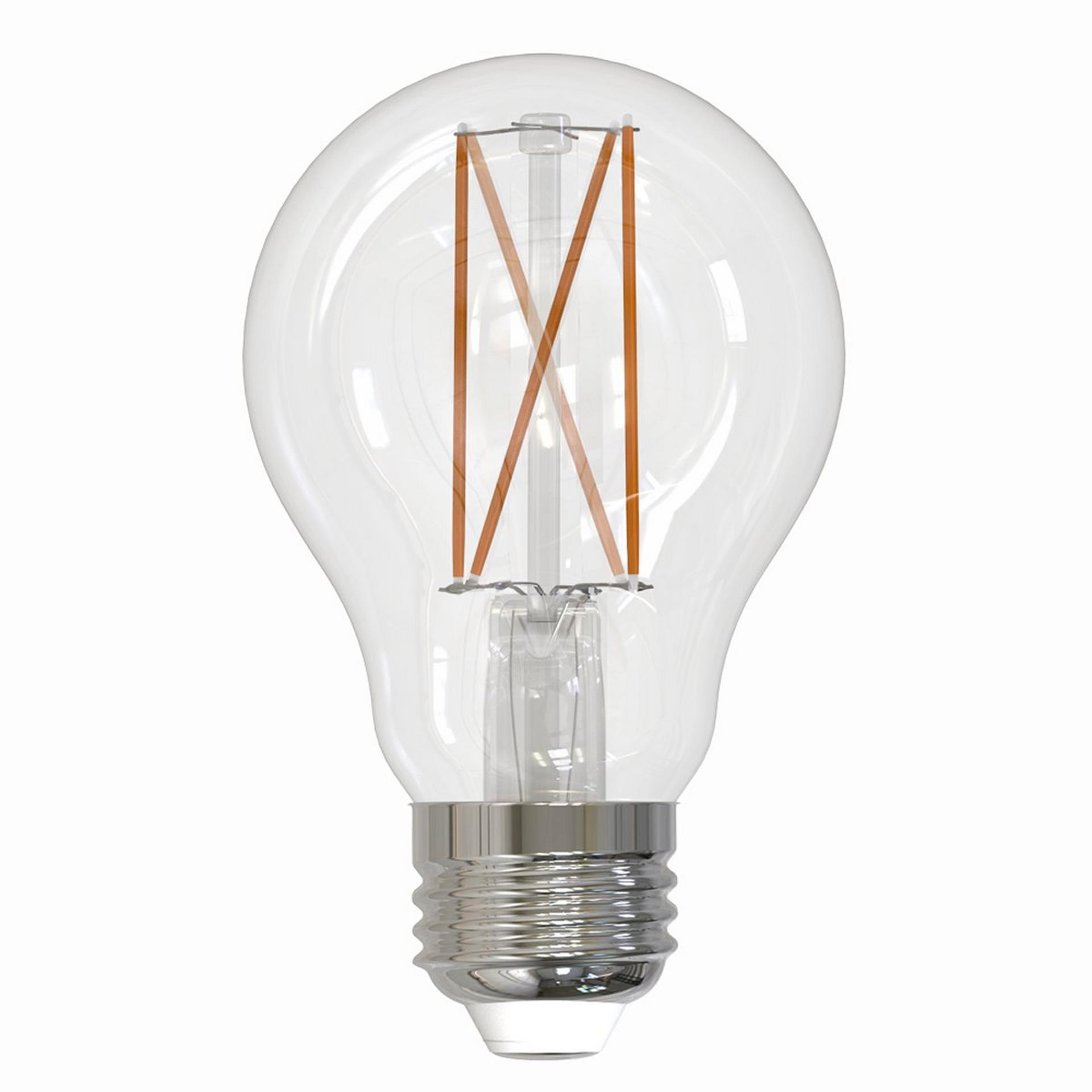 7 Watt Vintage Filament A19 Medium Base LED Bulb | Shades of Light