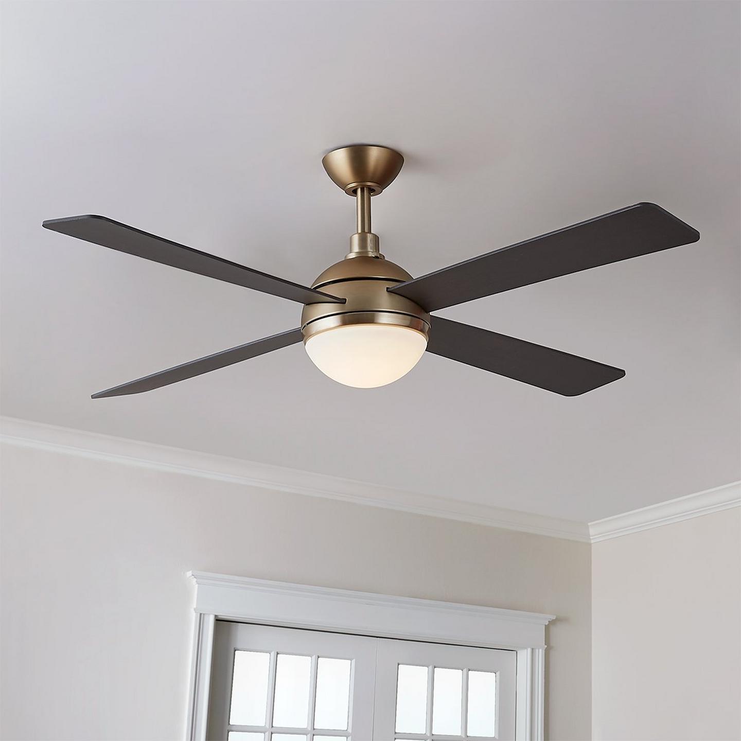 54" Modern Globe LED Ceiling Fan | Shades of Light