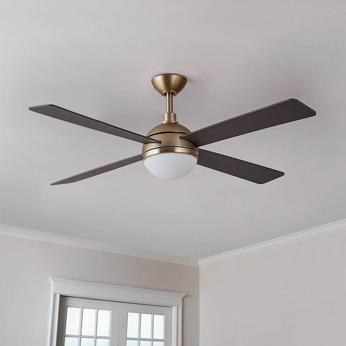 54" Modern Globe LED Ceiling Fan | Shades of Light