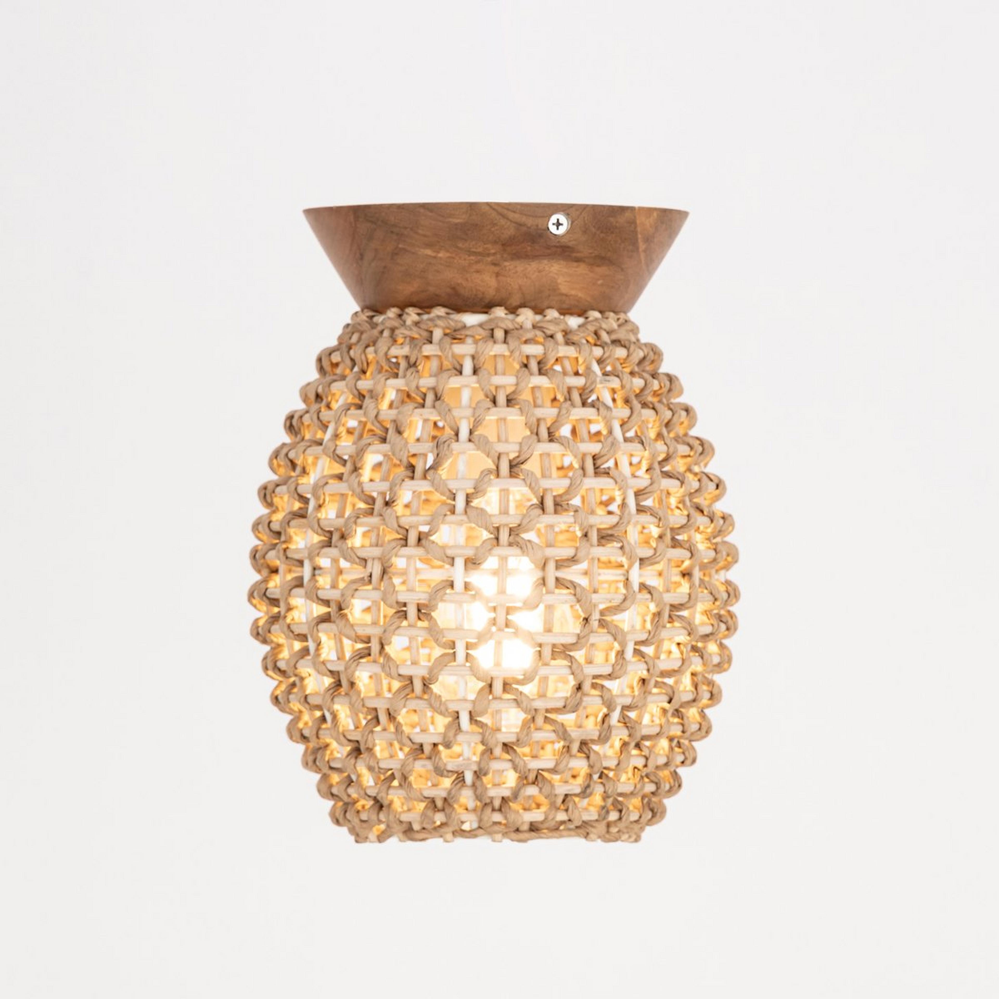 Chrysalis Ceiling Light | Shades of Light