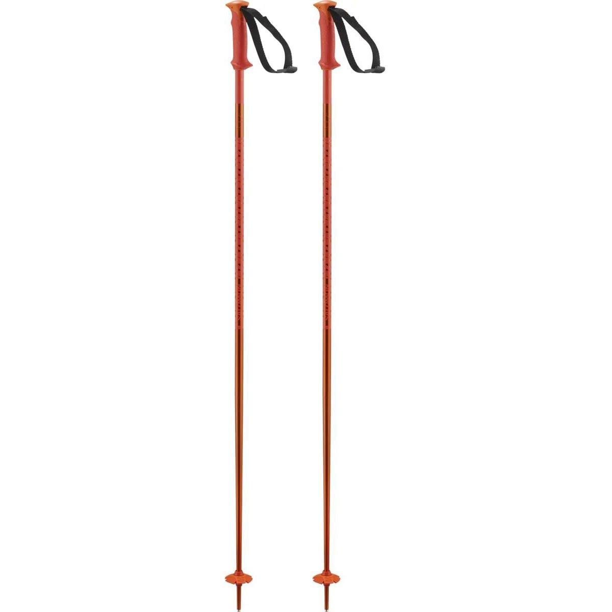 Polar Ski Pole [2025] | Salomon | Sporting Life Online