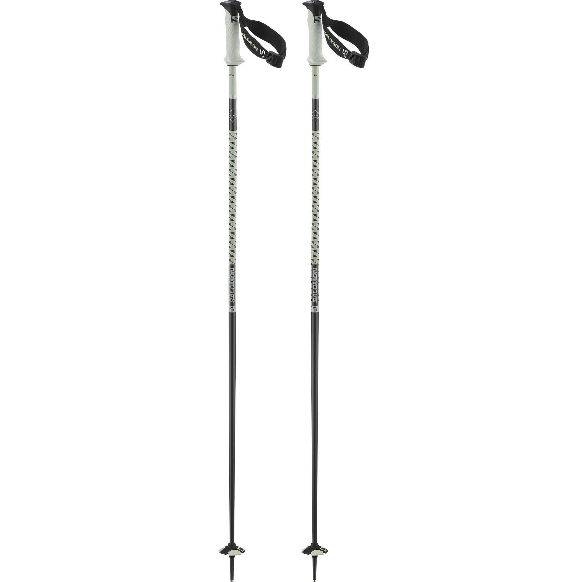 Polar Pro S3 Ski Pole [2025] | Salomon | Sporting Life Online