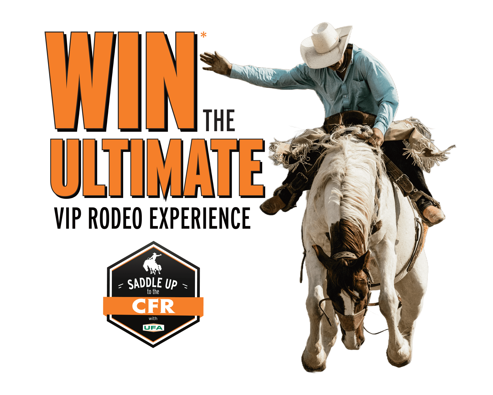 We’re Here for Rodeo.