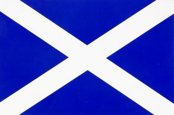 Scotland Flag Car Sticker - Medium | Halfords UK