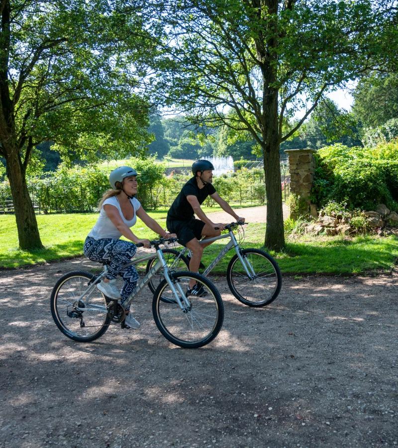 Hybrid Bikes Buyers Guide + Video | Halfords IE