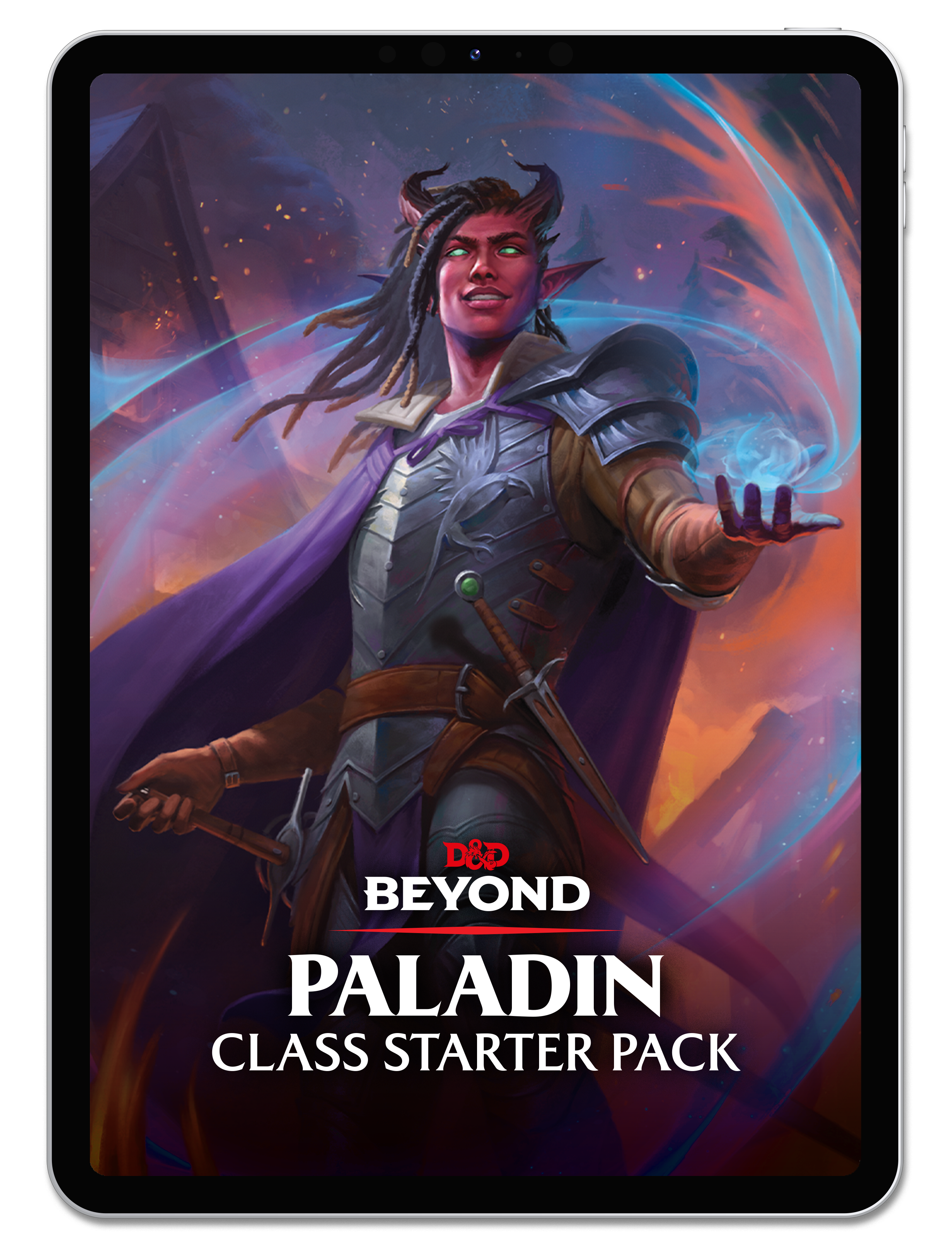 Paladin Starter Pack | D&D Beyond