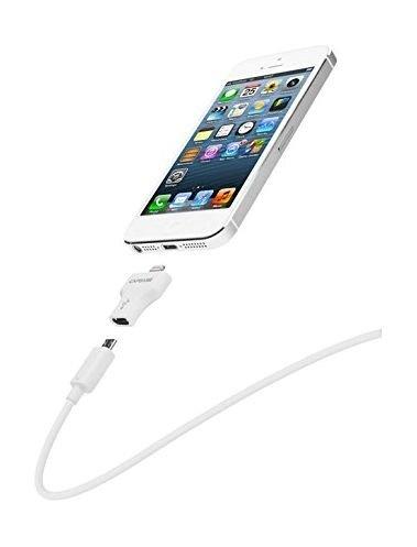Capdase Micro-USB to Lightning Adapter (HCCB-LT02) - White Price in ...