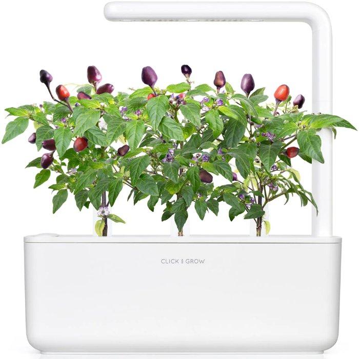 كبسولات نباتية كليك أند غرو 3 قطع فلفل بنفسجي حار| اكسايت