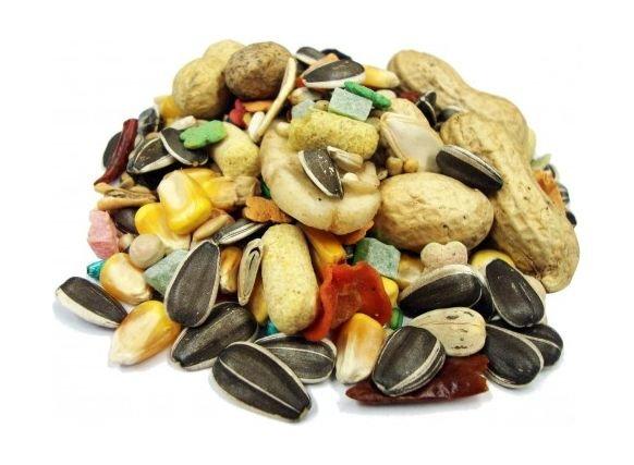 Higgins Vita Seed Parrot Food | Xcite Kuwait