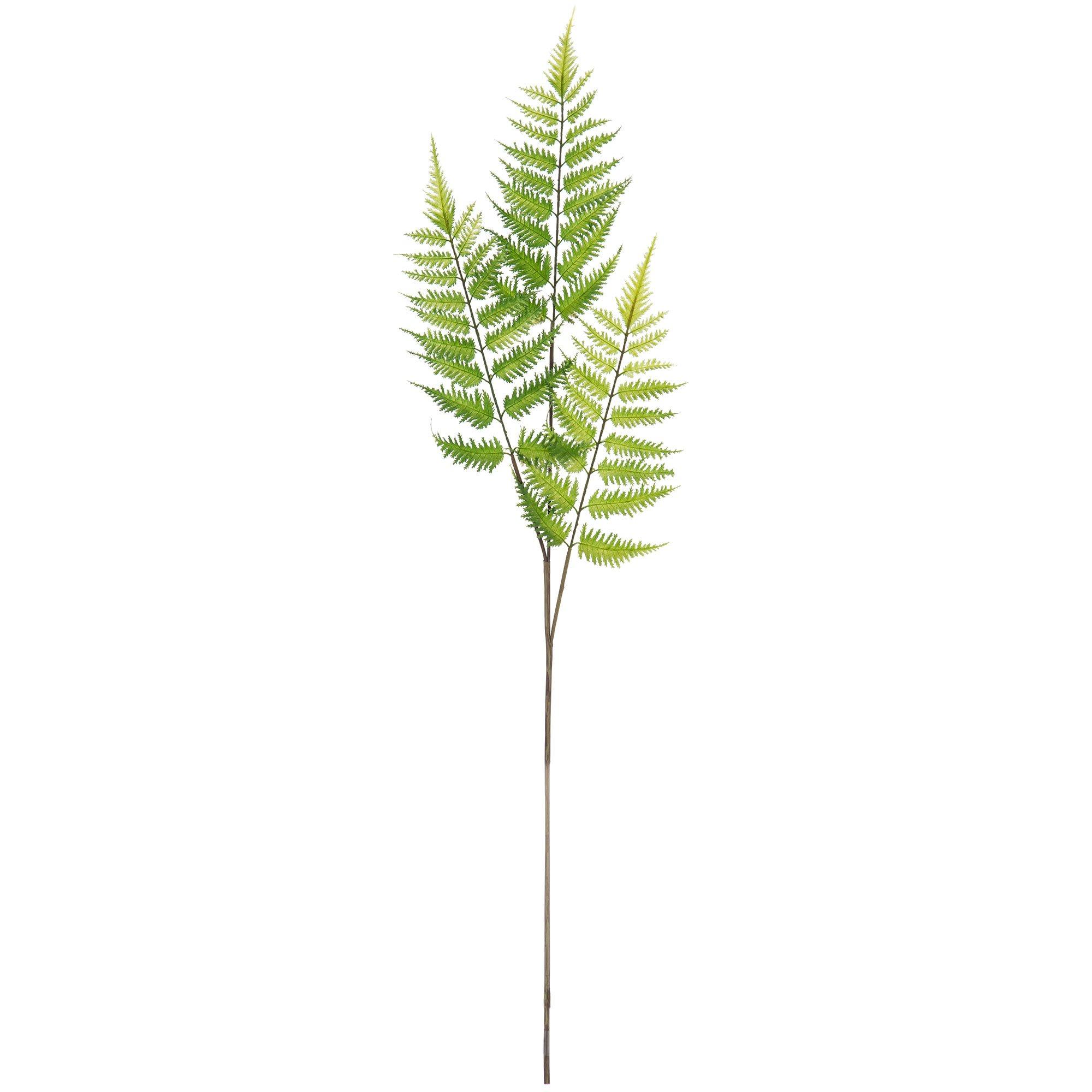 Fern Spray | Hobby Lobby | 1081488