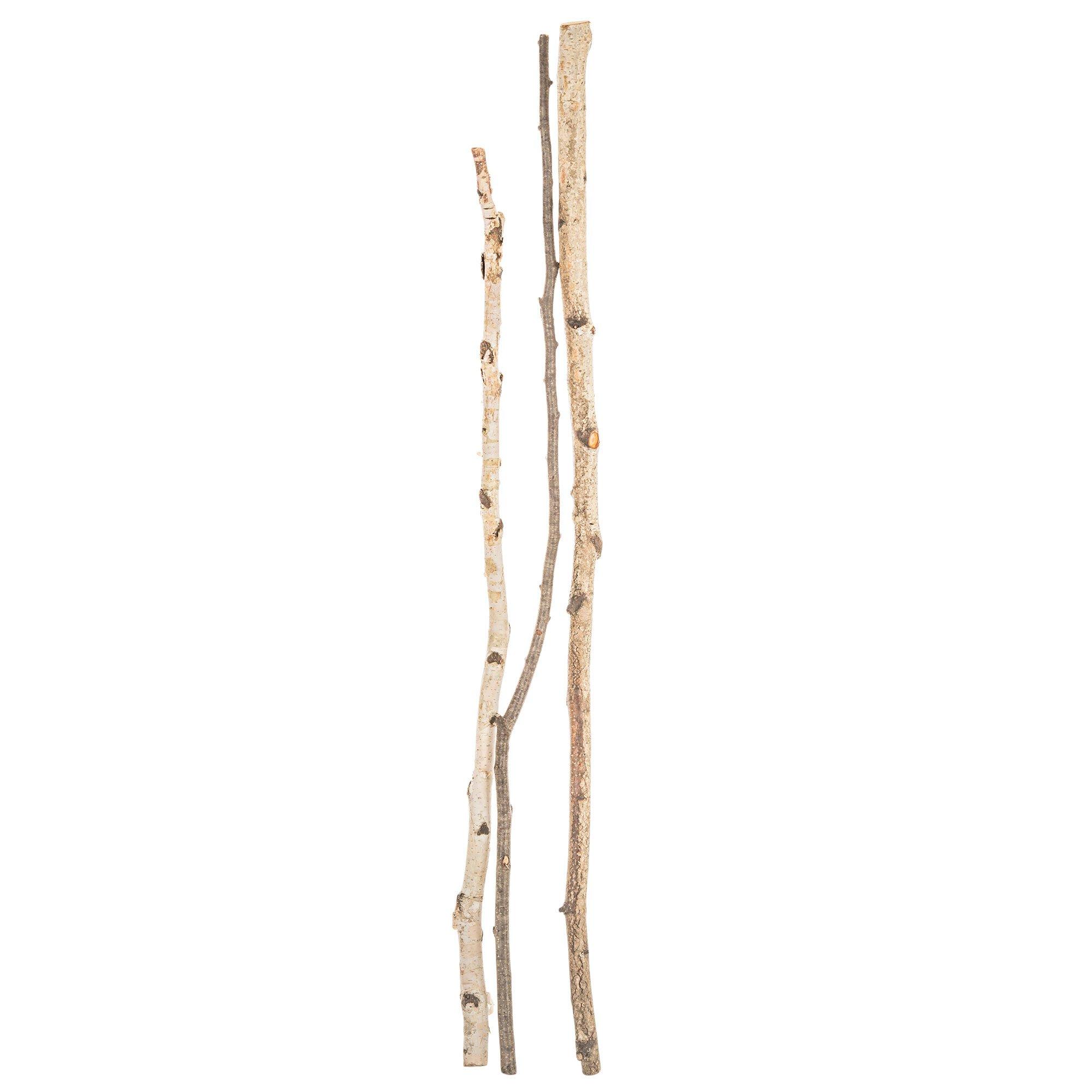 Birch Sticks | Hobby Lobby | 1159953