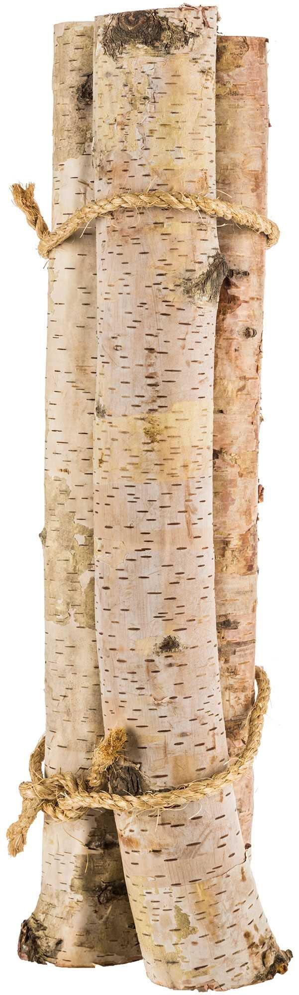 Natural Birch Bundle | Hobby Lobby | 1159961