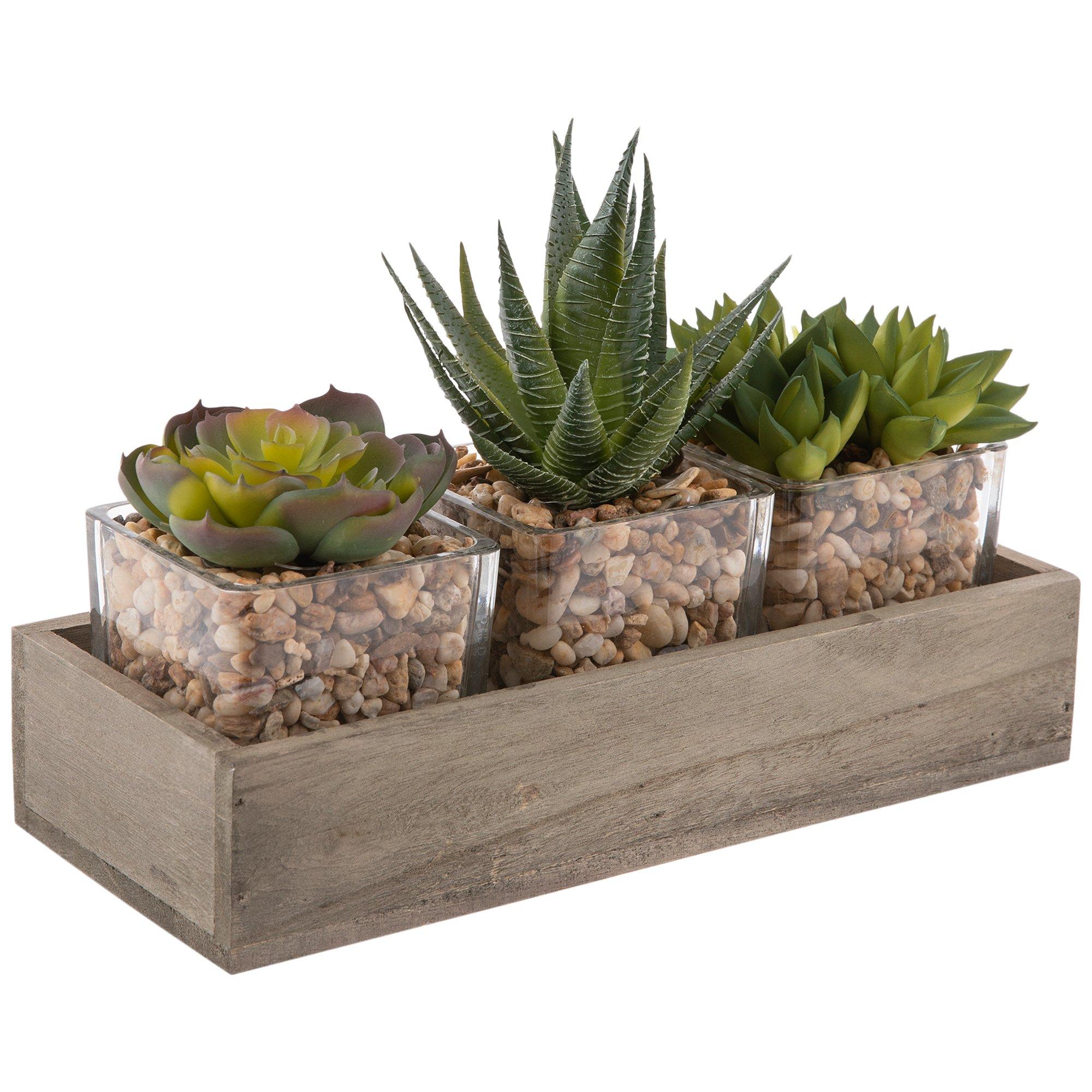 Succulent Trio In Wood Box | Hobby Lobby | 1220714