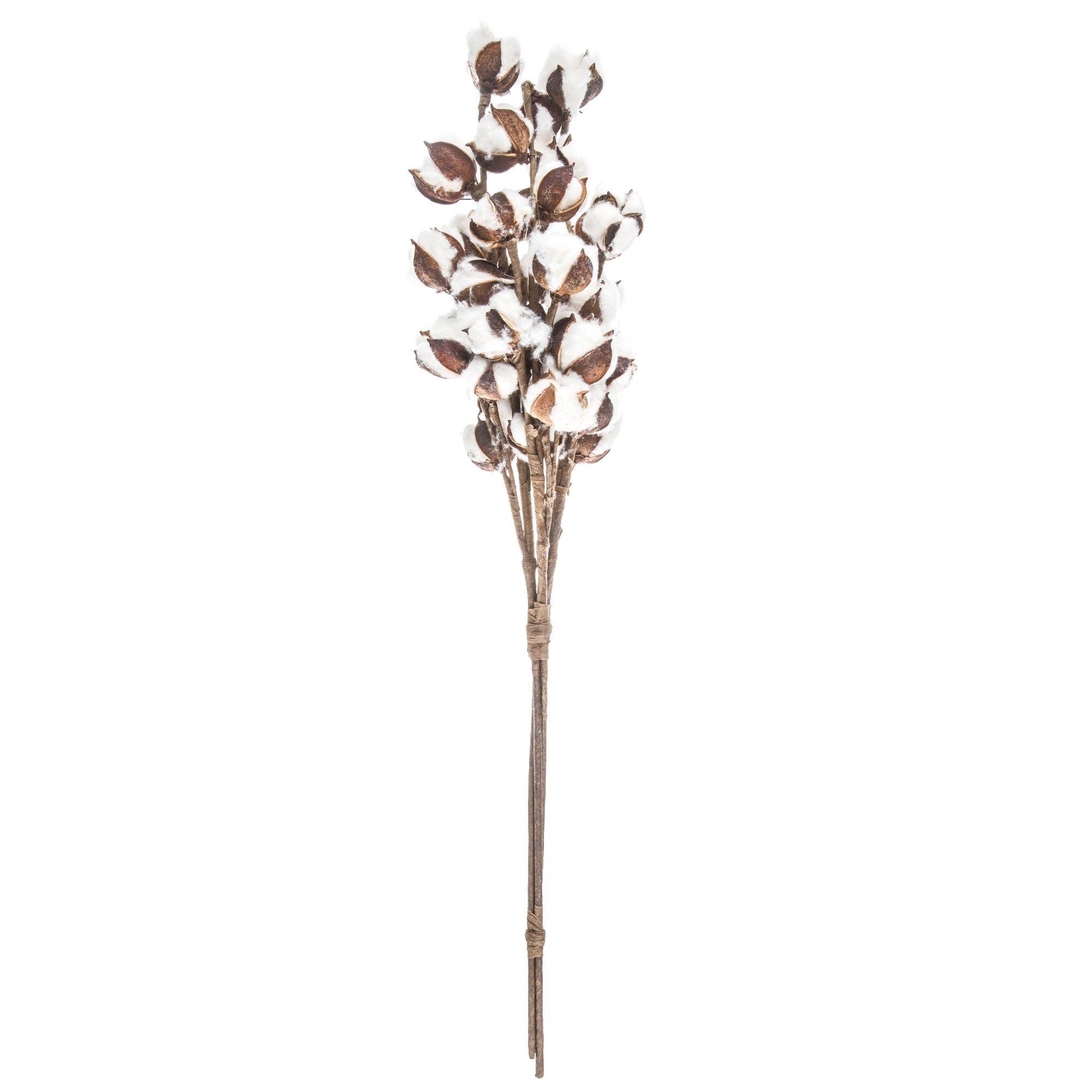 Cotton Bundle | Hobby Lobby | 1247717