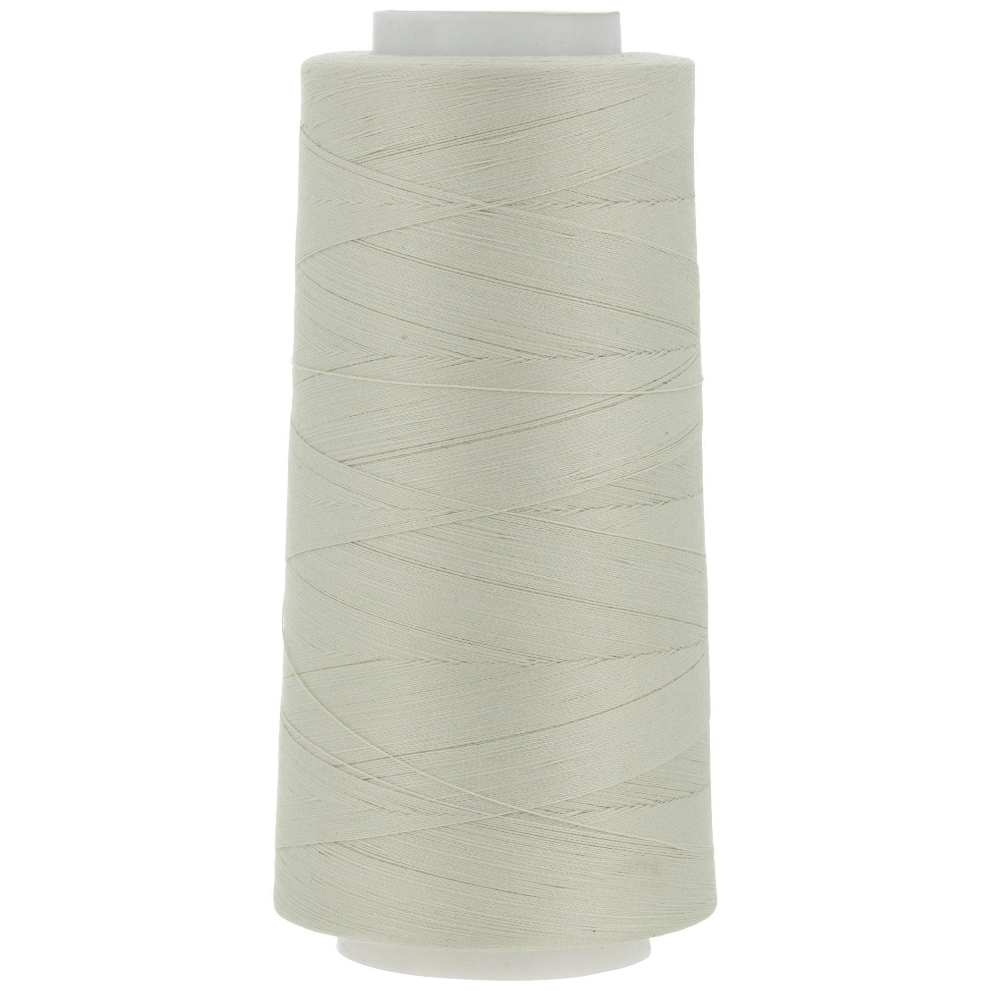 Overlocking Polyester Thread | Hobby Lobby | 1261122
