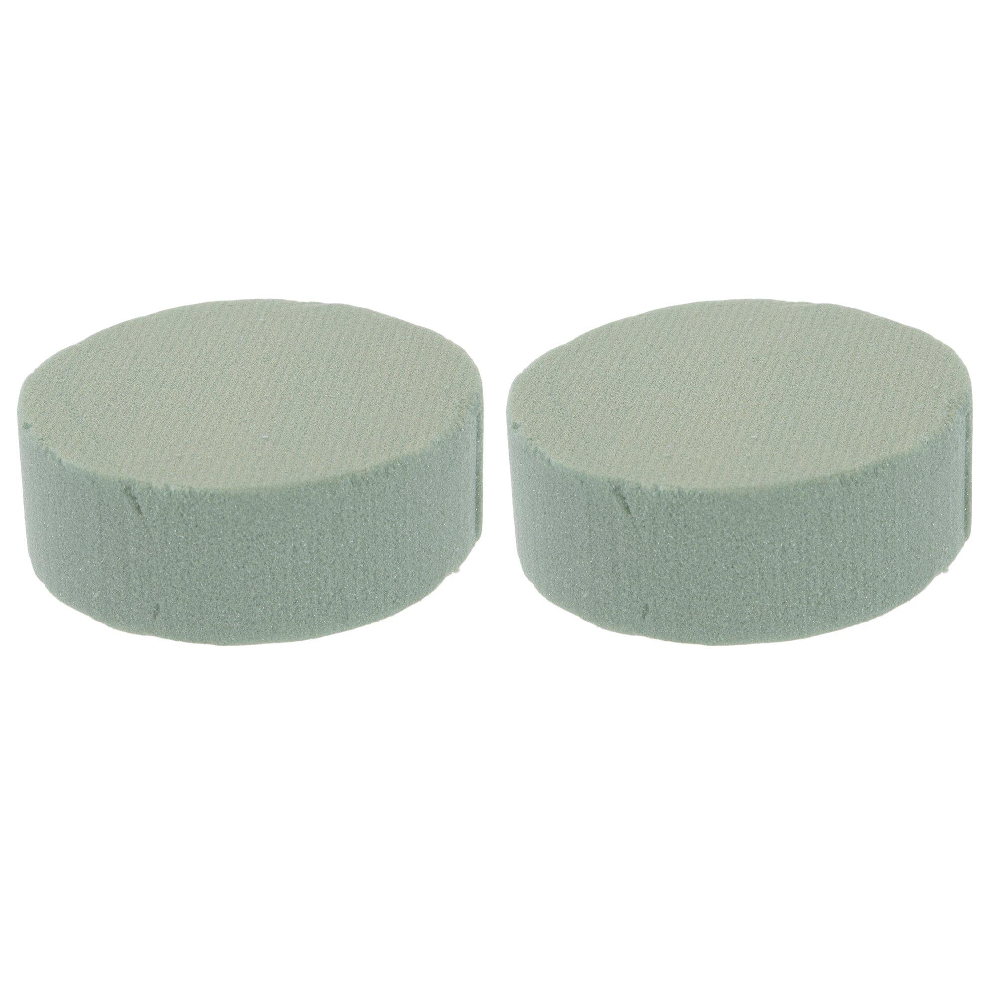 Desert DryFoM Foam Discs | Hobby Lobby | 1261833
