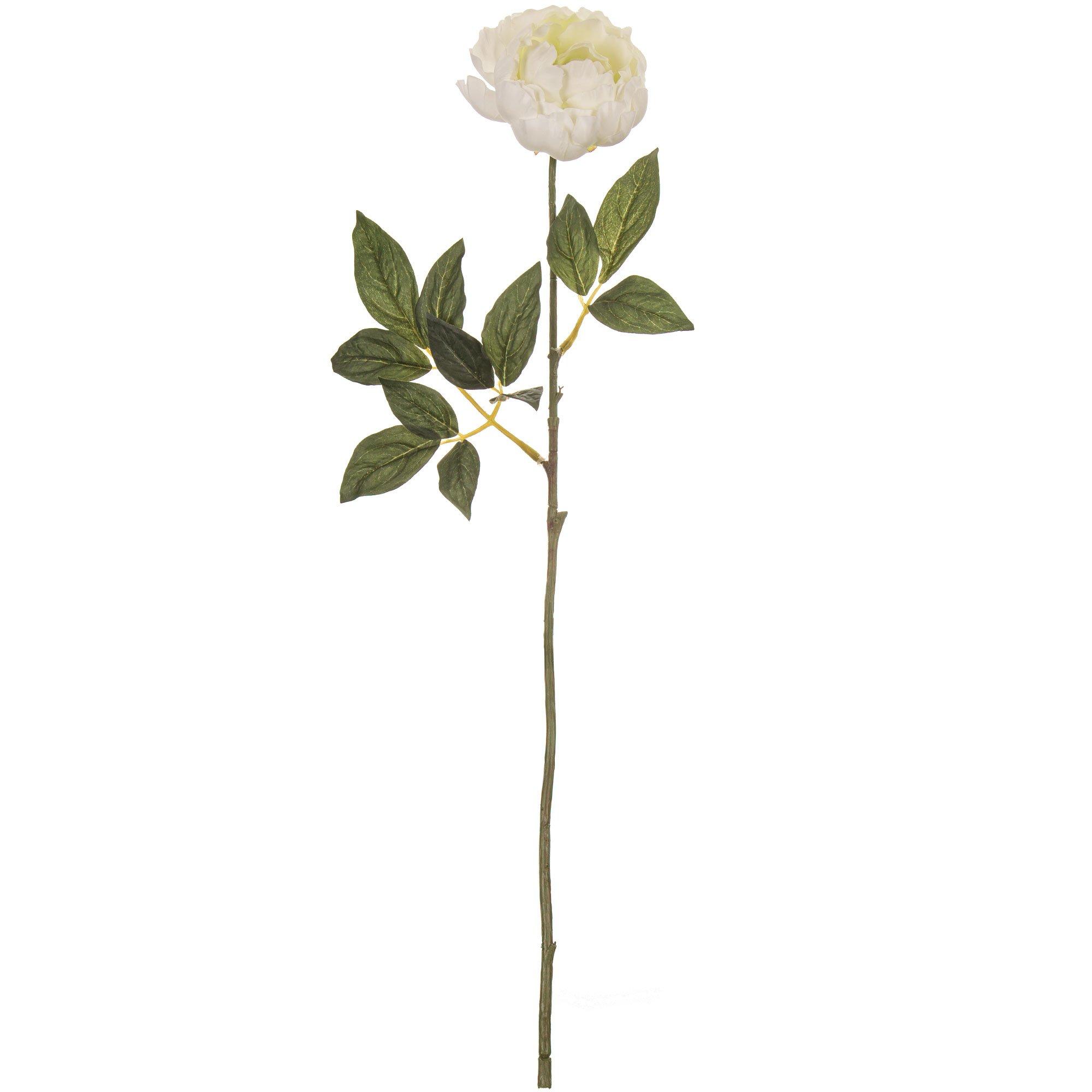Peony Stem | Hobby Lobby | 133264