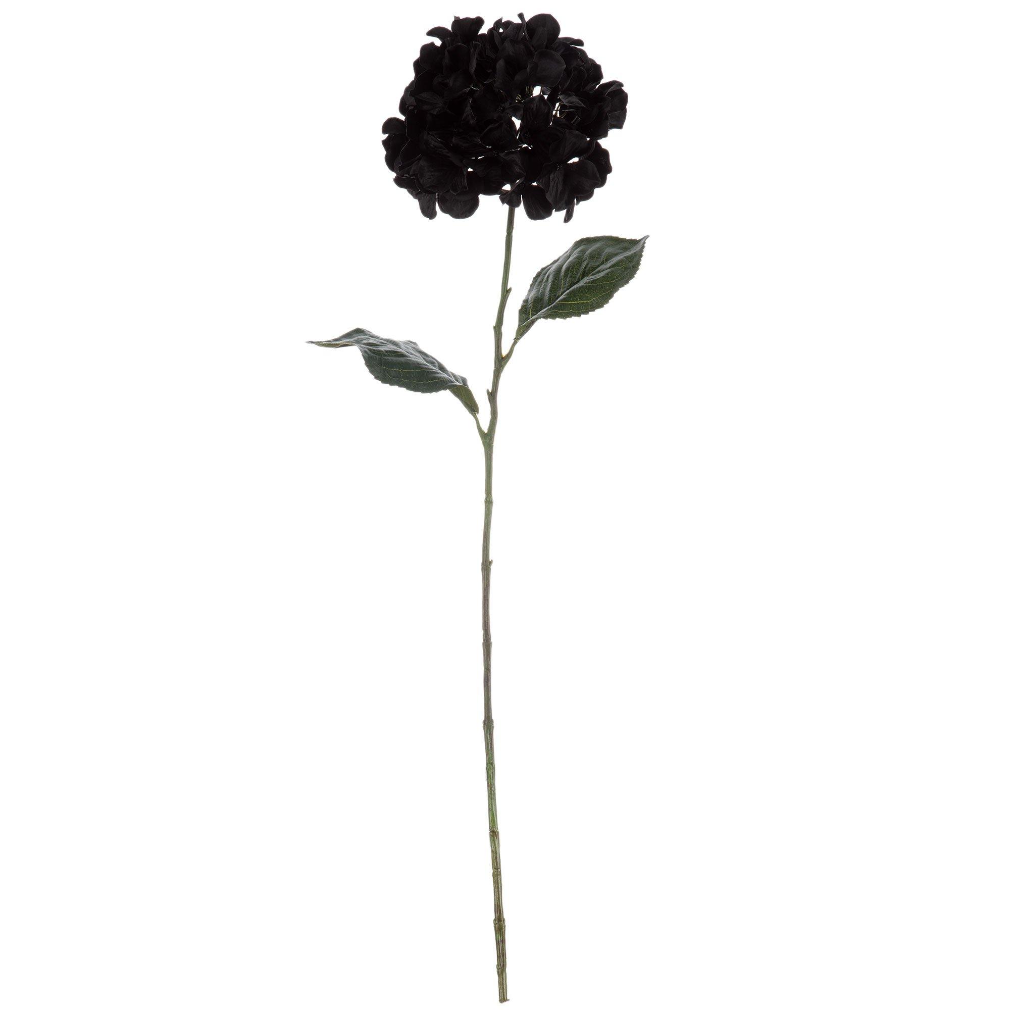 Black Hydrangea Stem | Hobby Lobby | 1396472