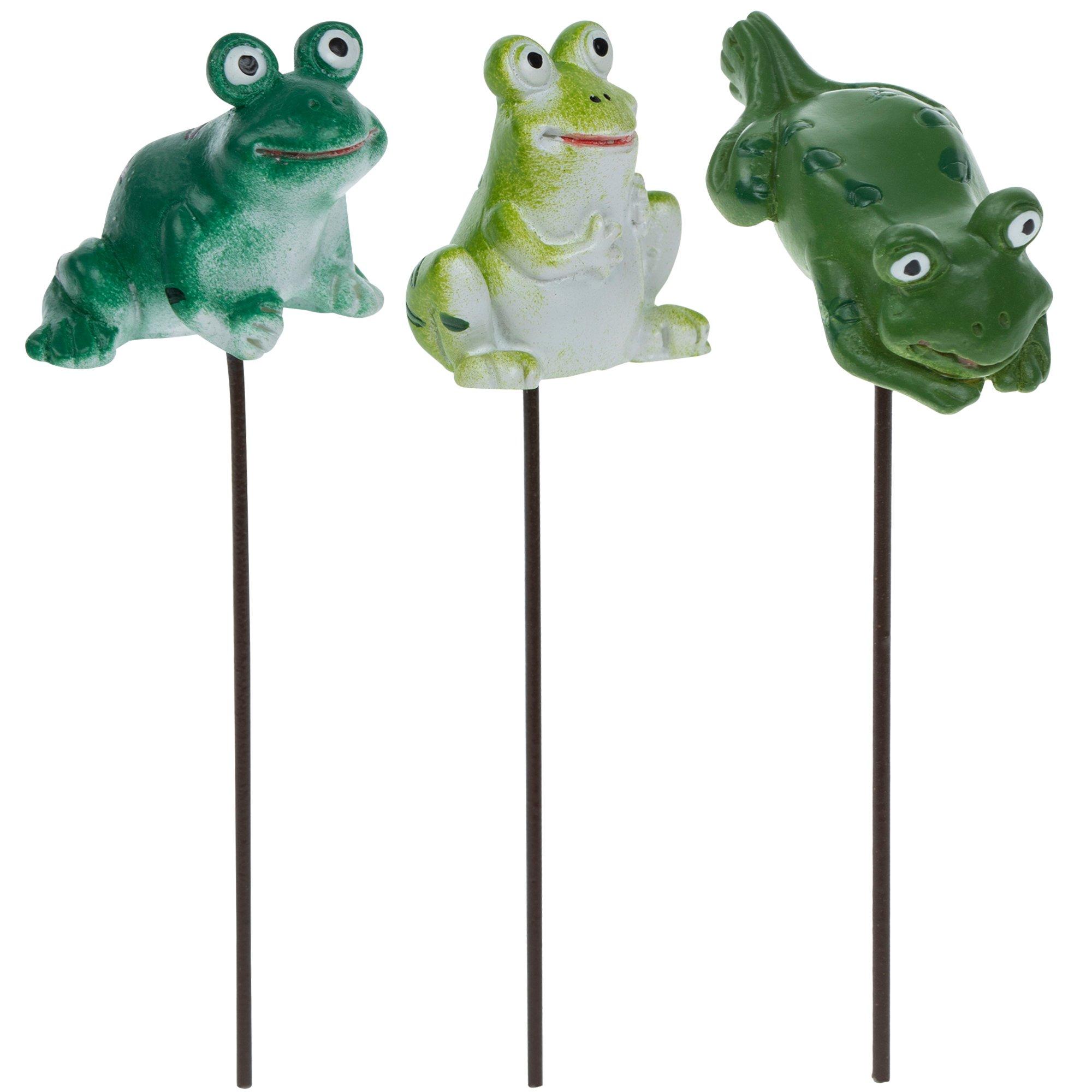 Frog Picks | Hobby Lobby | 1423896