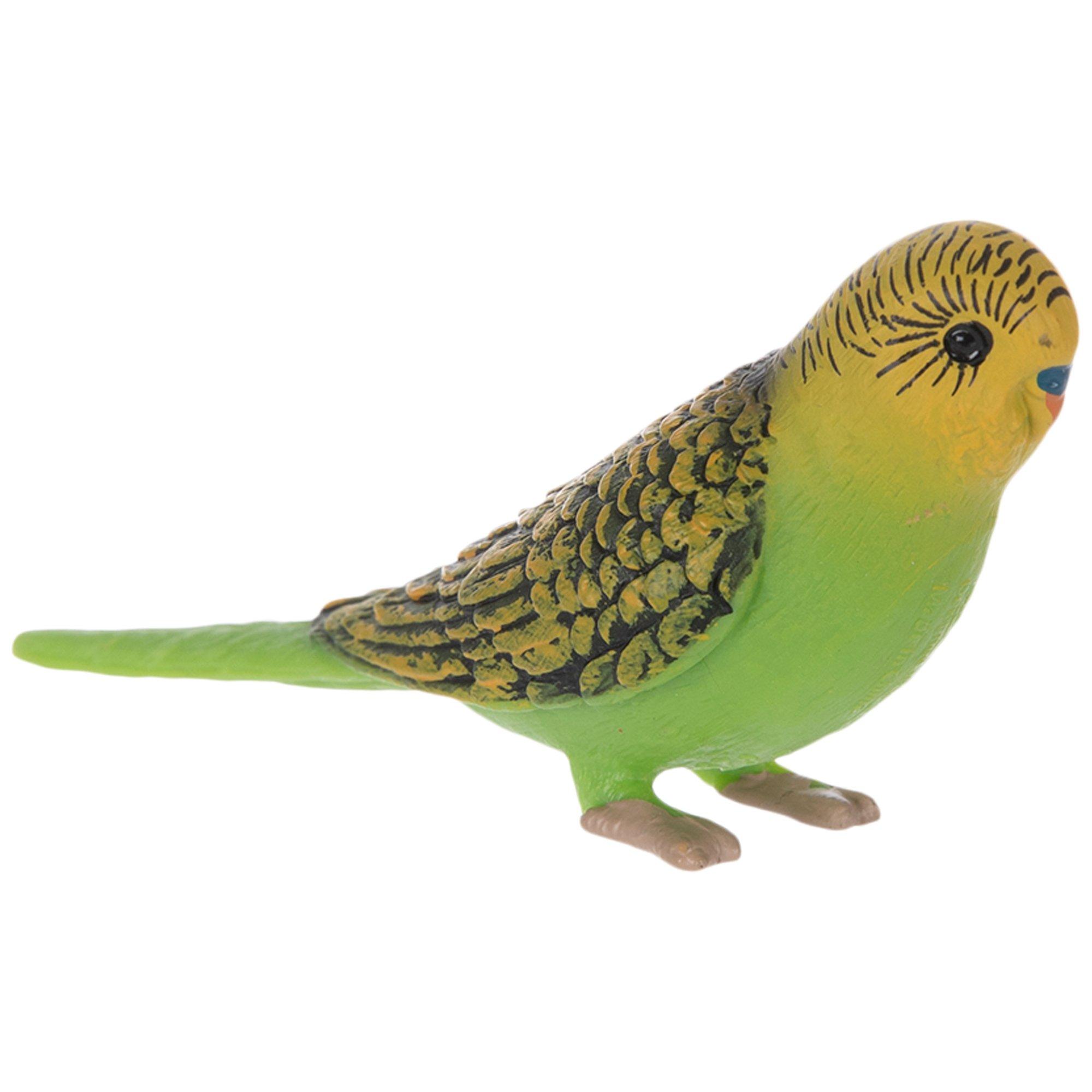 Parakeet | Hobby Lobby | 1530971