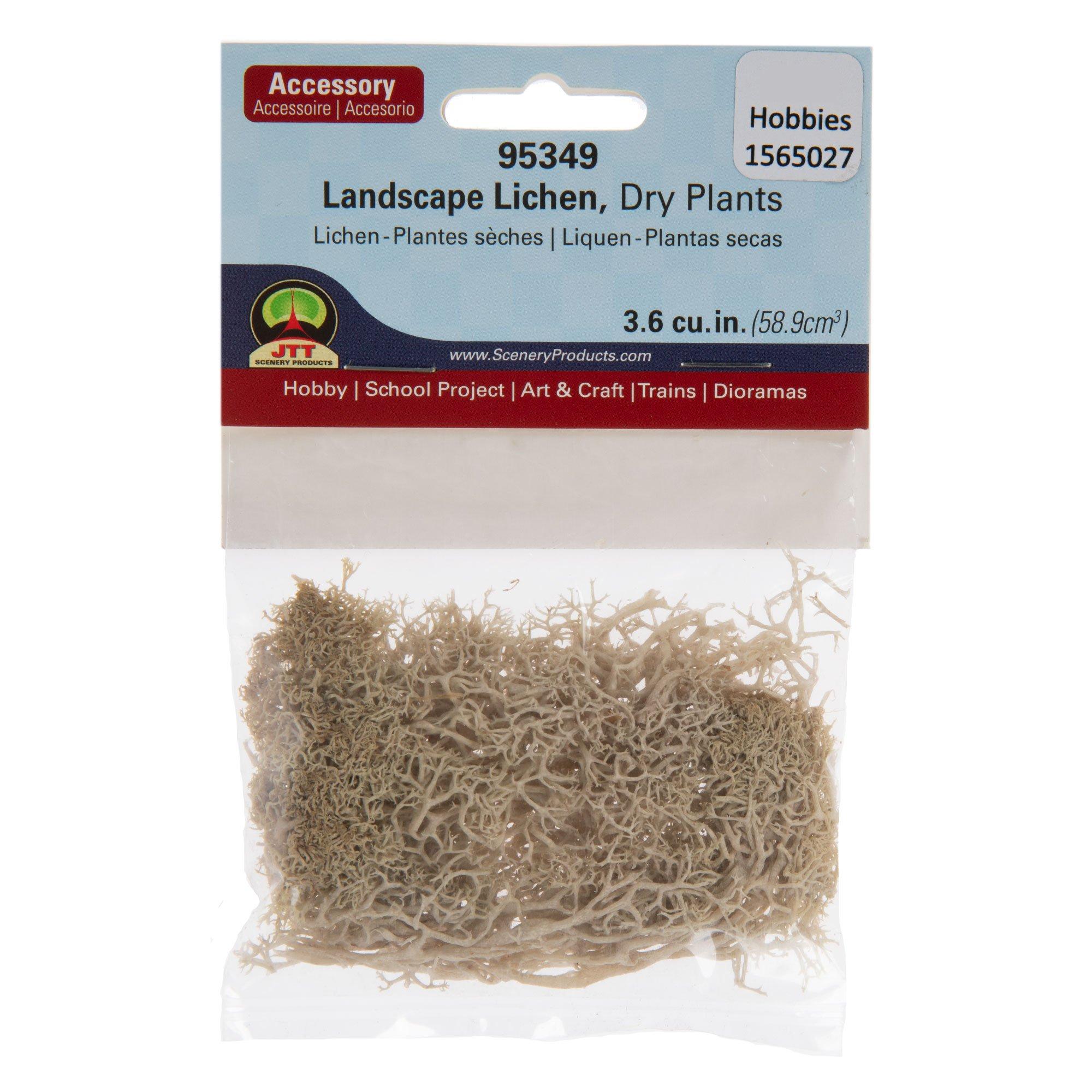 Landscape Lichen Dry Plants | Hobby Lobby | 1565027