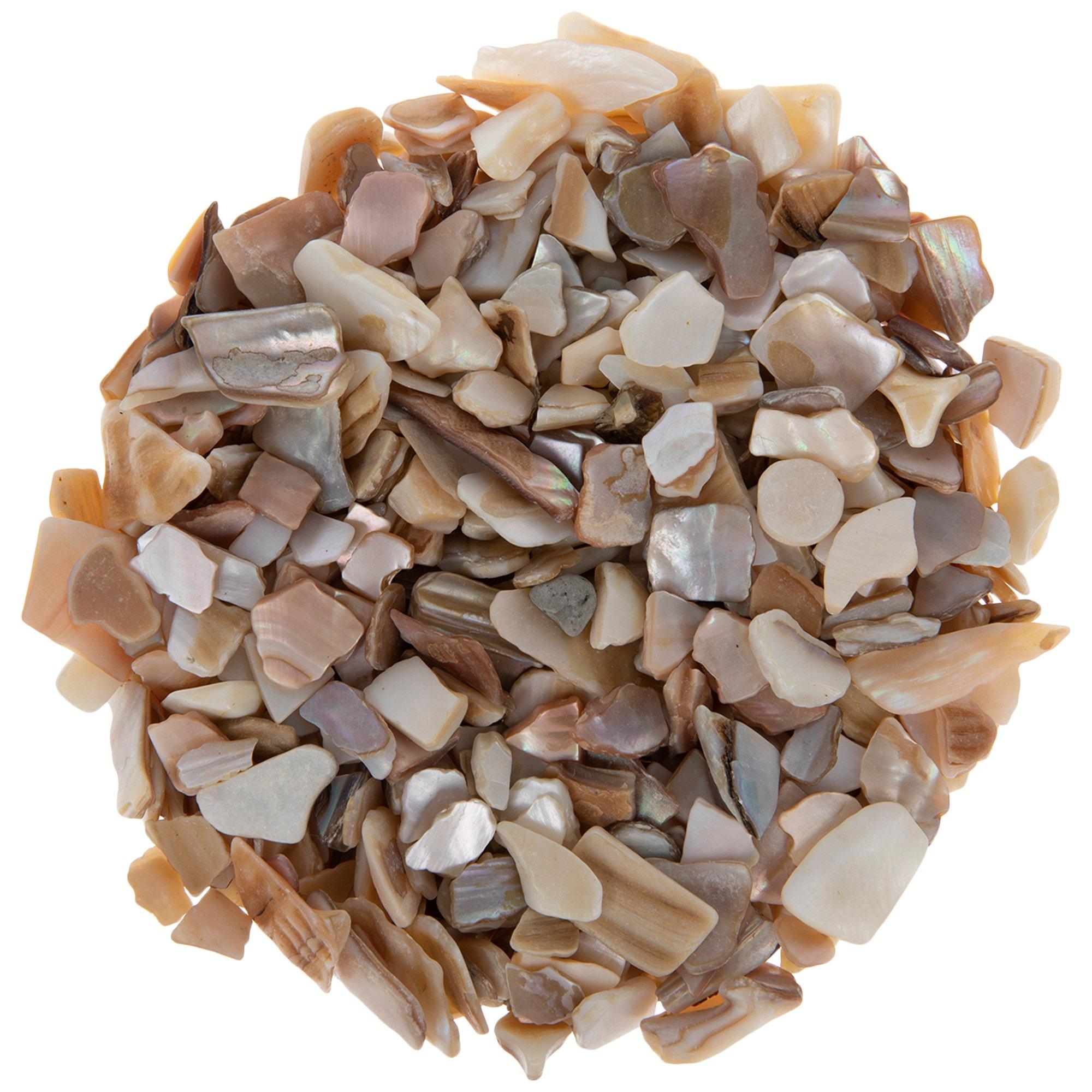 Seashell Chips | Hobby Lobby | 1571223